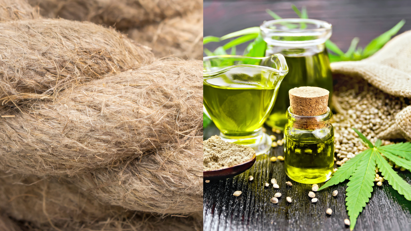 Industry Hemp: A Key Crop to Advance Circular Systems?